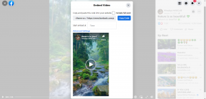 What does embedding a video mean | AVS4YOU-Blog AVS-Blog