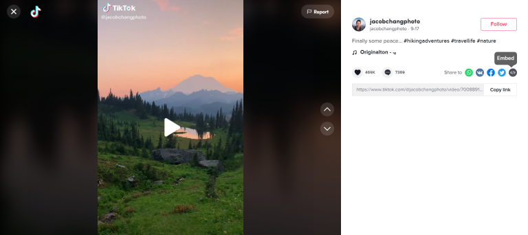 What does embedding a video mean | AVS4YOU-Blog AVS-Blog