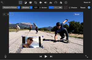Video watermark: what is it and how to add? | AVS4YOU Blog AVS-Blog