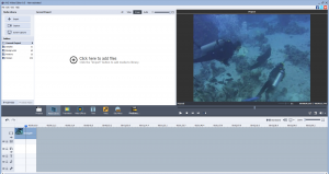 Video watermark: what is it and how to add? | AVS4YOU Blog AVS-Blog