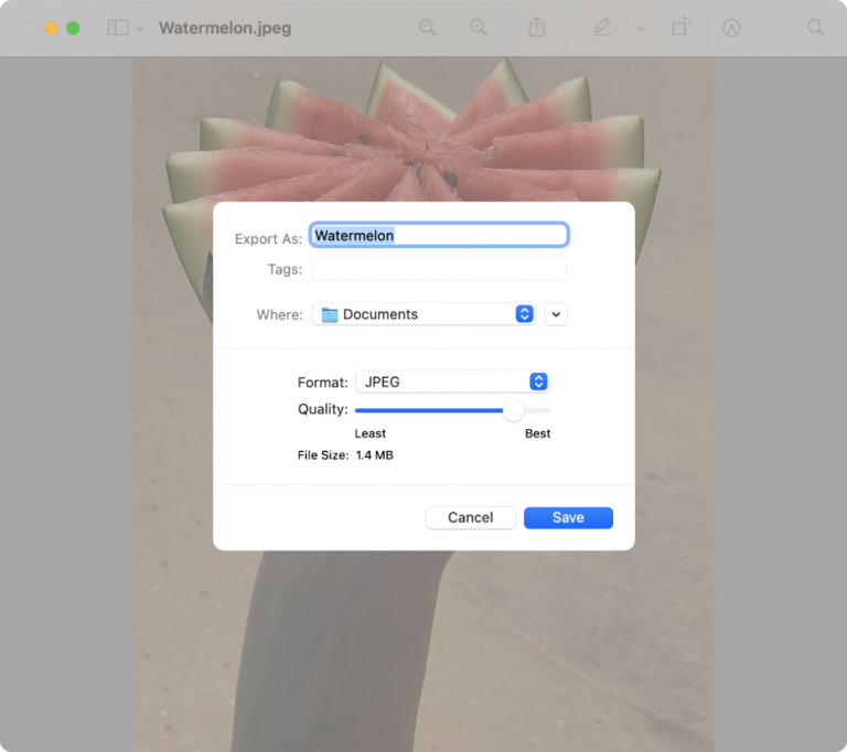 Los 10 mejores programas para convertir documentos en 2023 AVS-Blog